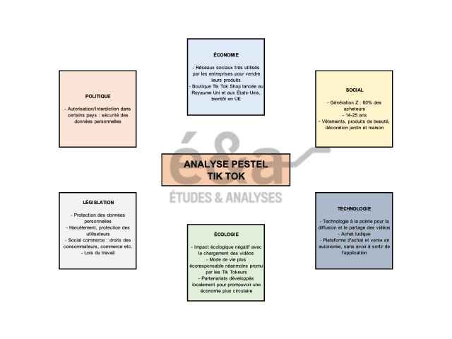 Analyse PESTEL de TikTok - analyse des facteurs environnementaux