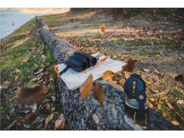 5 accroches idéales pour votre dissert Devoirs envers la Nature